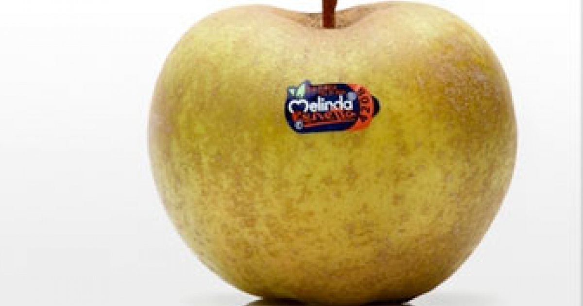 Renetta Canada D.O.P. - Tastetrentino