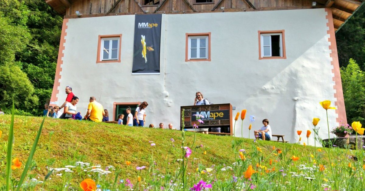 MMape - Mulino Museo dell'Ape - Tastetrentino