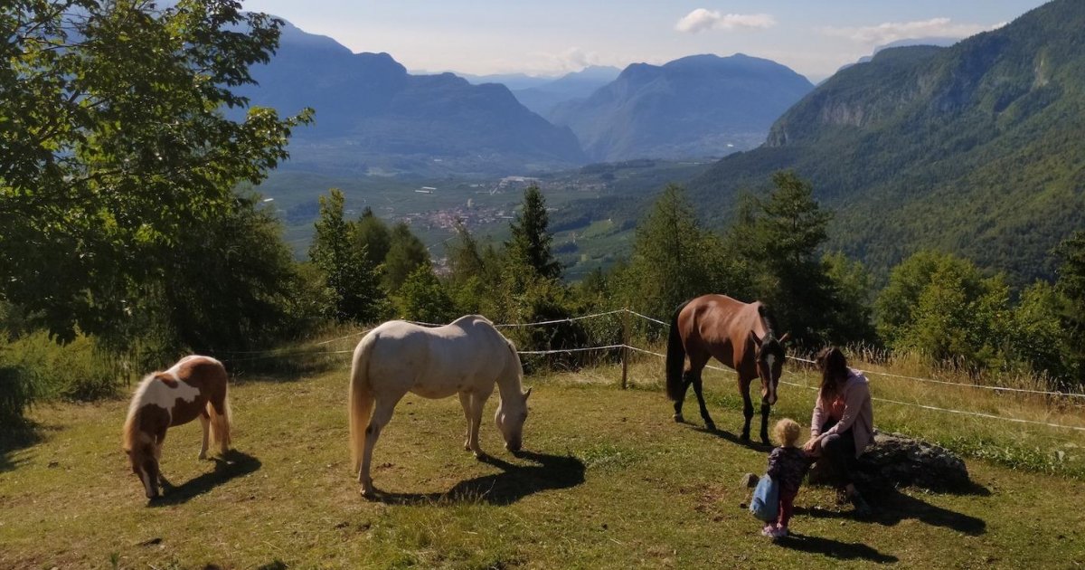 El Malget - Tastetrentino